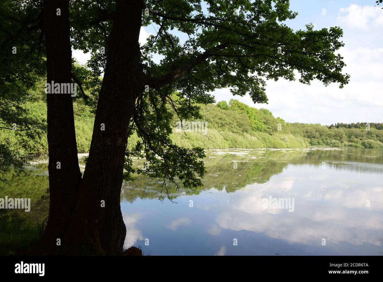 Hofmannsweiher hi-res stock photography and images - Alamy