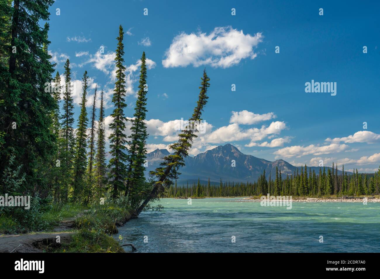 Athabasca river along the icefields parkway hi-res stock photography ...