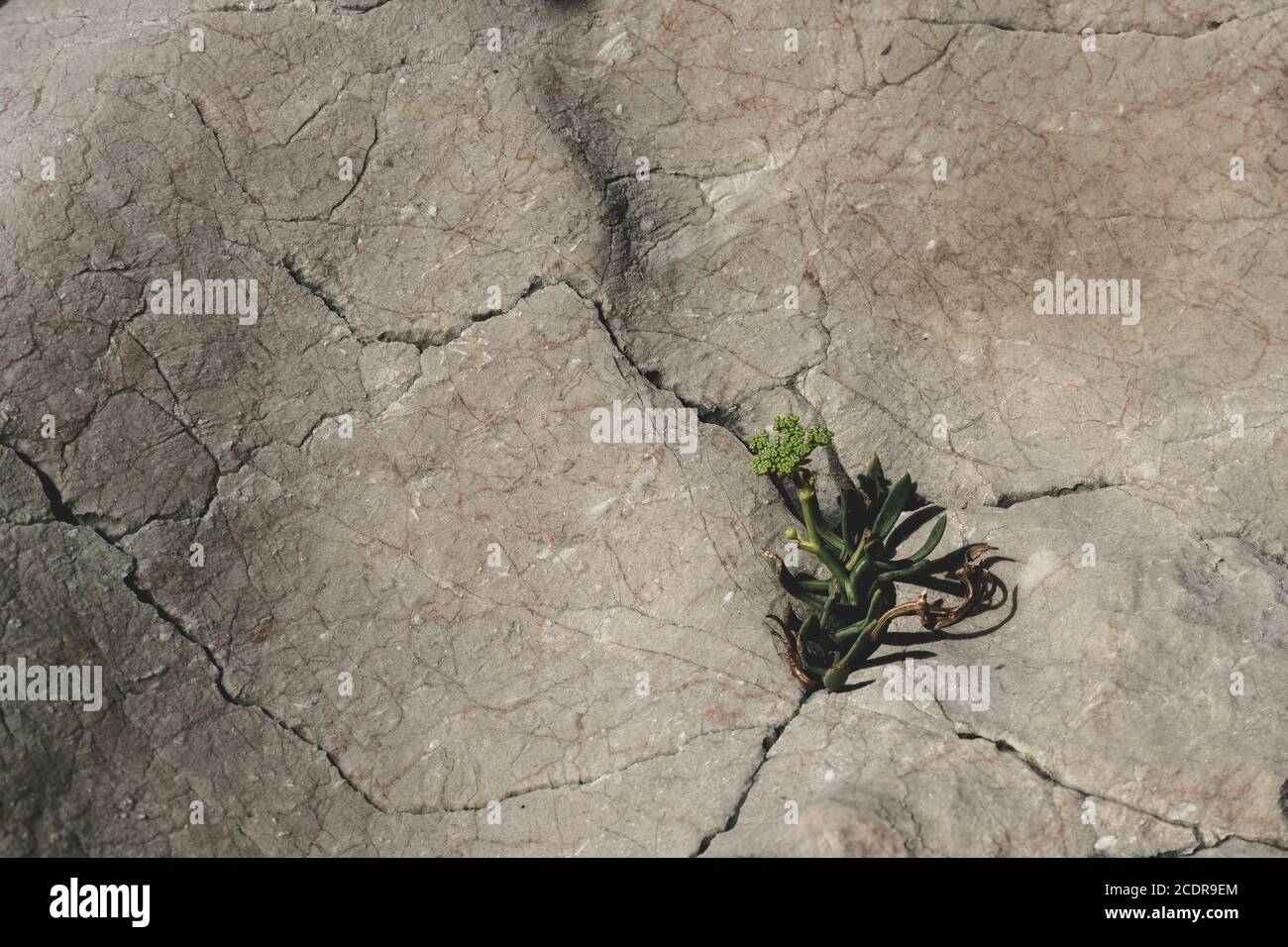 Rocks sediment hi-res stock photography and images - Alamy