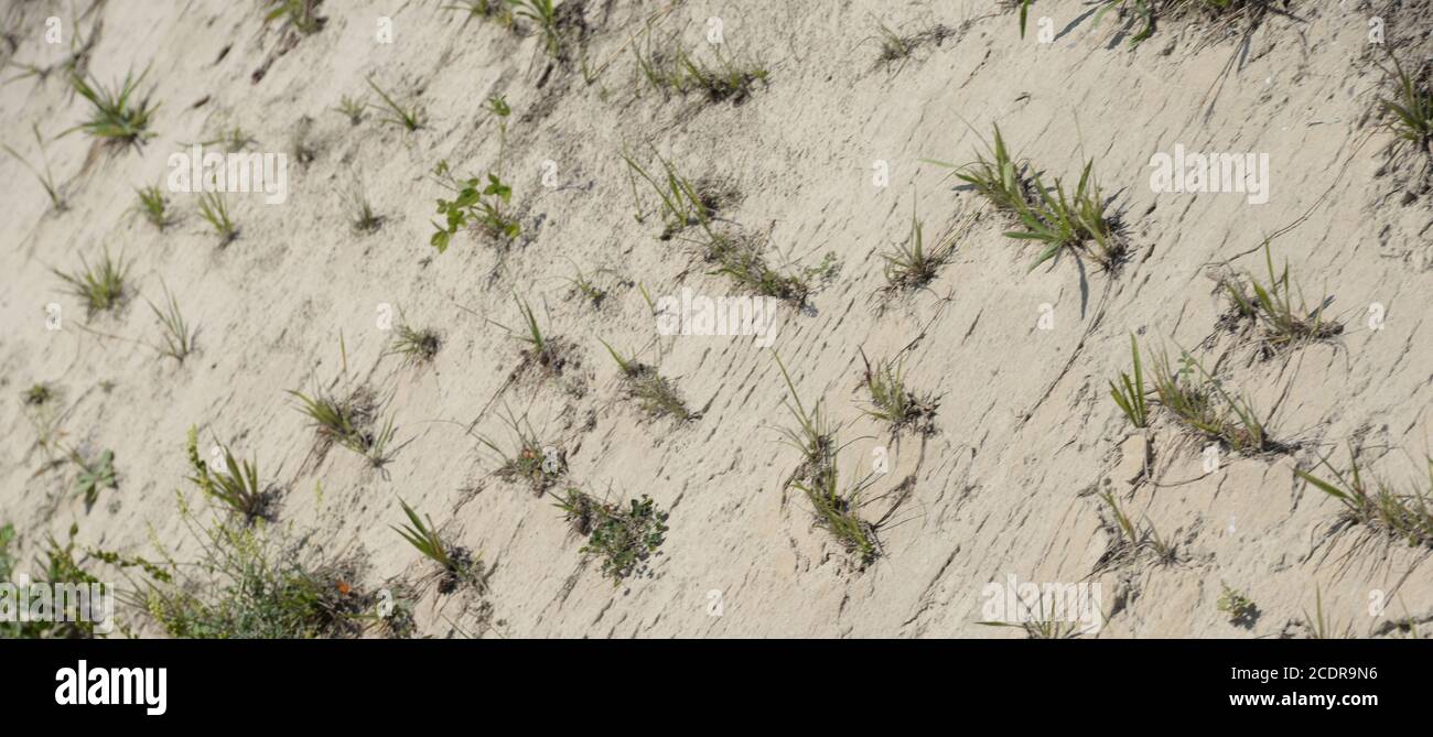 Loess sand hi-res stock photography and images - Alamy