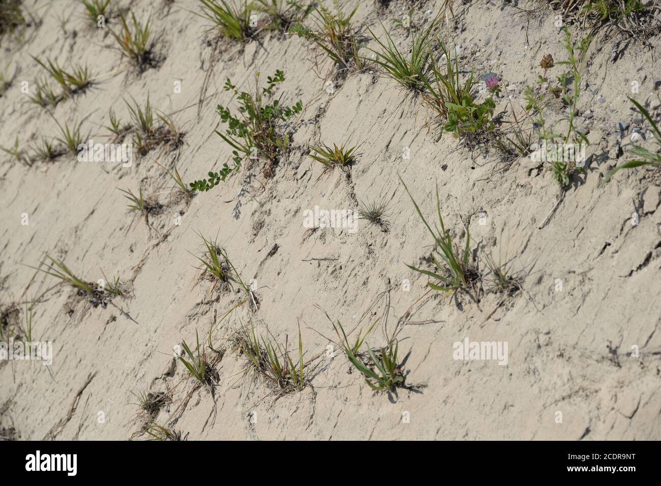 Loess sand hi-res stock photography and images - Alamy