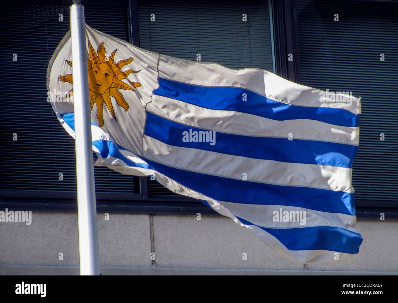 Uruguayan flag hi-res stock photography and images - Alamy
