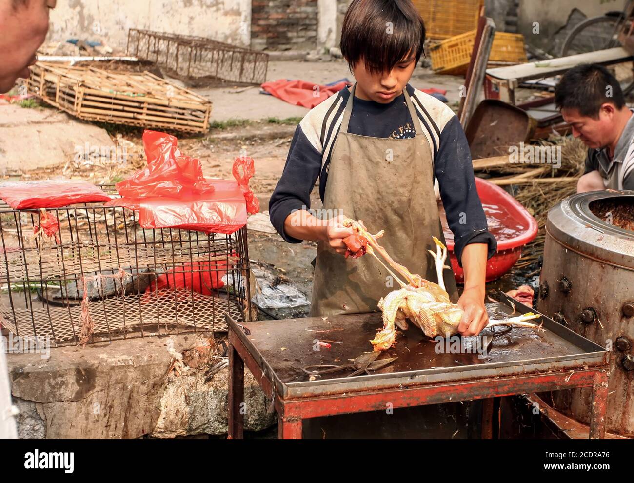 Chicken guts hi-res stock photography and images - Alamy