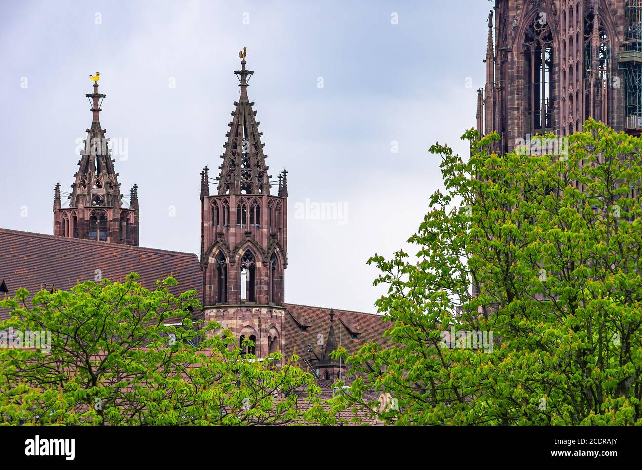 Freiburg cathedral hi-res stock photography and images - Alamy