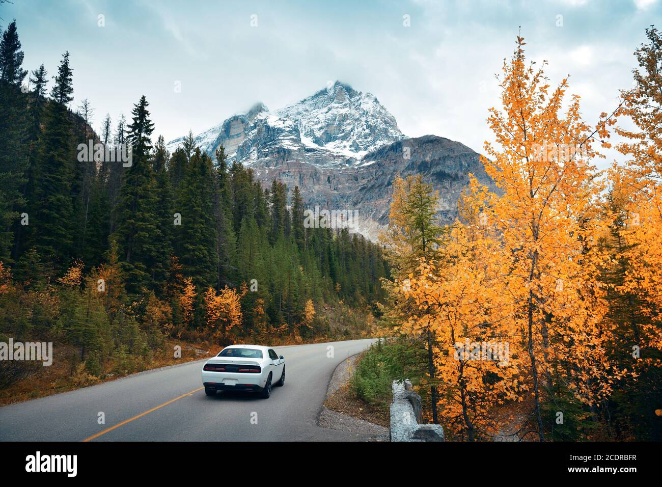 Car on road in Banff National Park in Canada Stock Photo - Alamy