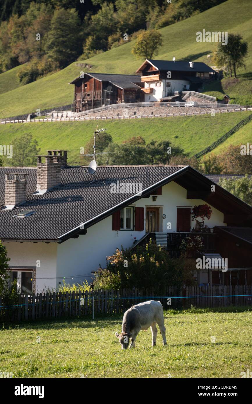 Village buildings in Dolomites in North Italy Stock Photo - Alamy