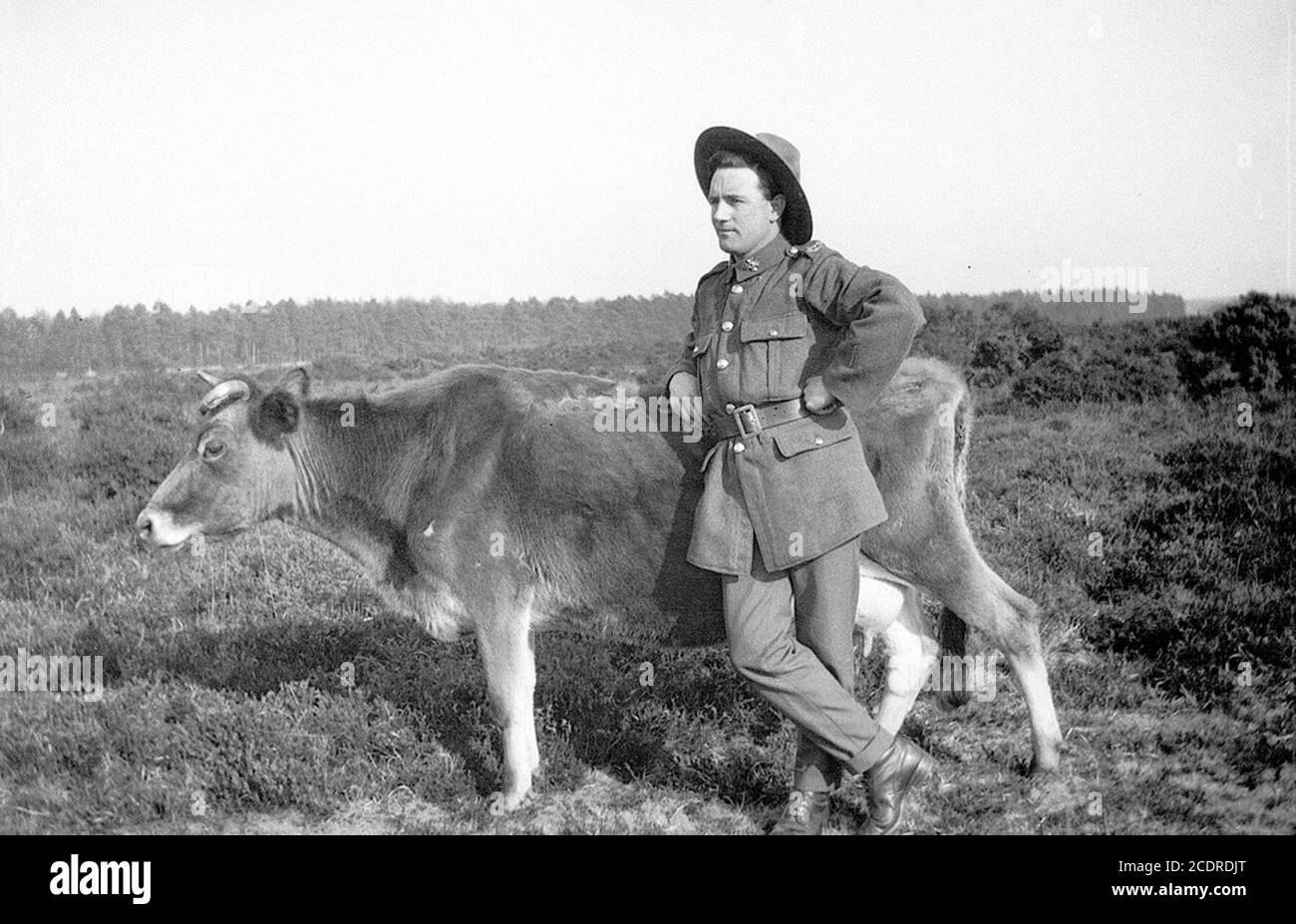 New Zealand Soldier High Resolution Stock Photography and Images - Alamy