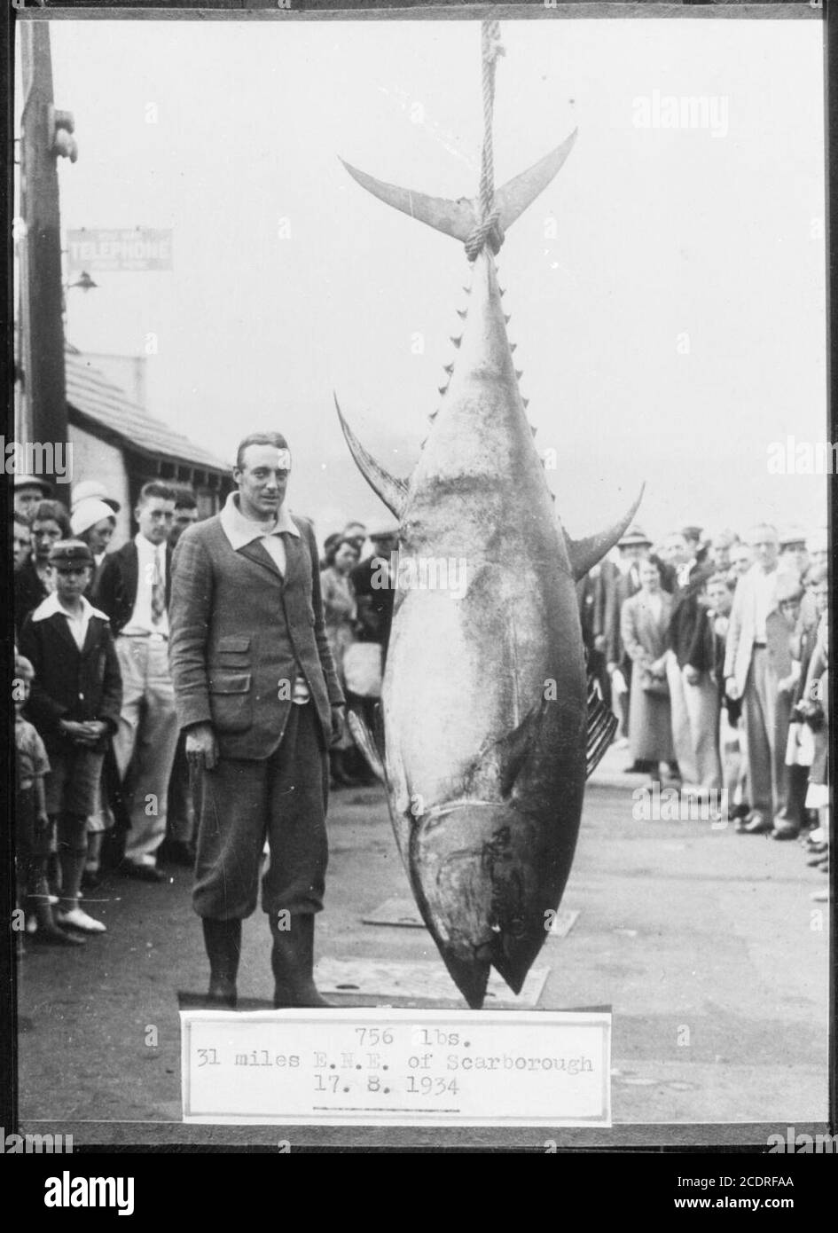 Michael Terry High Resolution Stock Photography and Images - Alamy