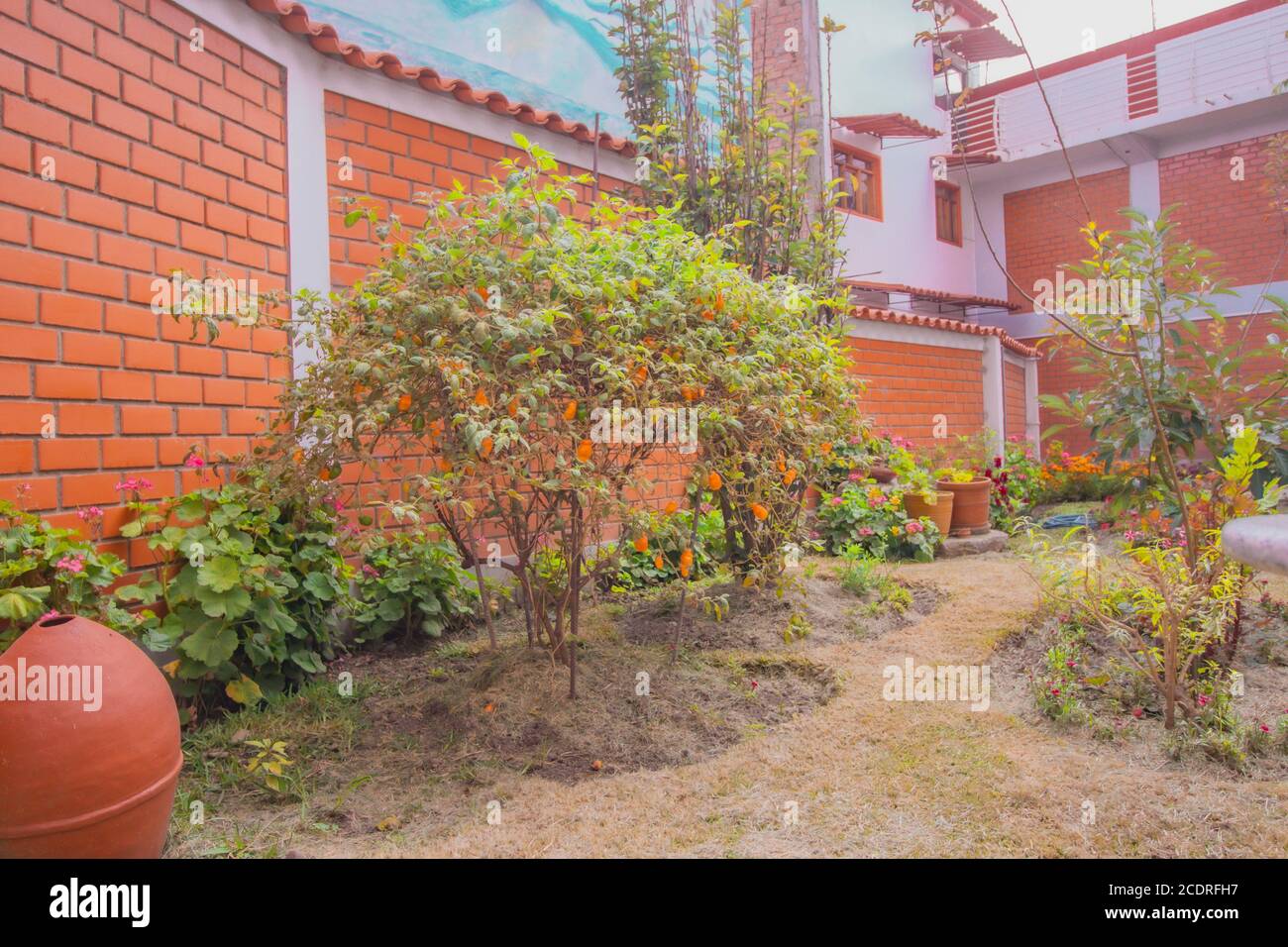 Hotel color pastel hi-res stock photography and images - Alamy