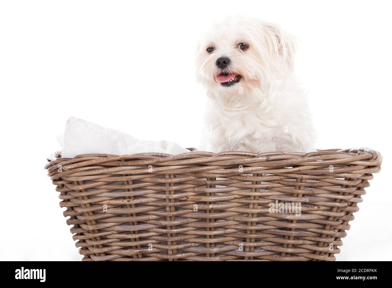 Maltezer hi-res stock photography and images - Alamy