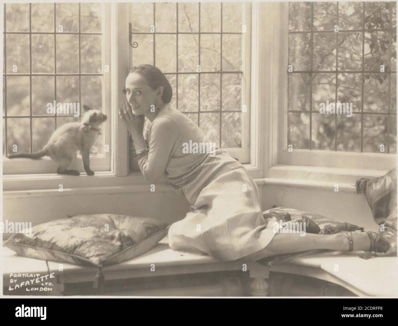 Siamese Cat History High Resolution Stock Photography and Images - Alamy