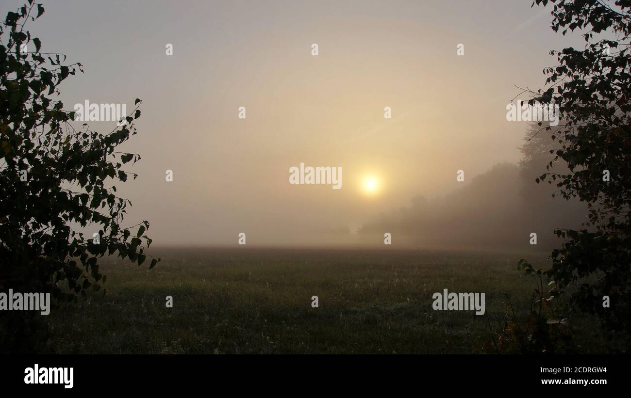 September sunrise over the meadow, autumn morning, sun and fog ...