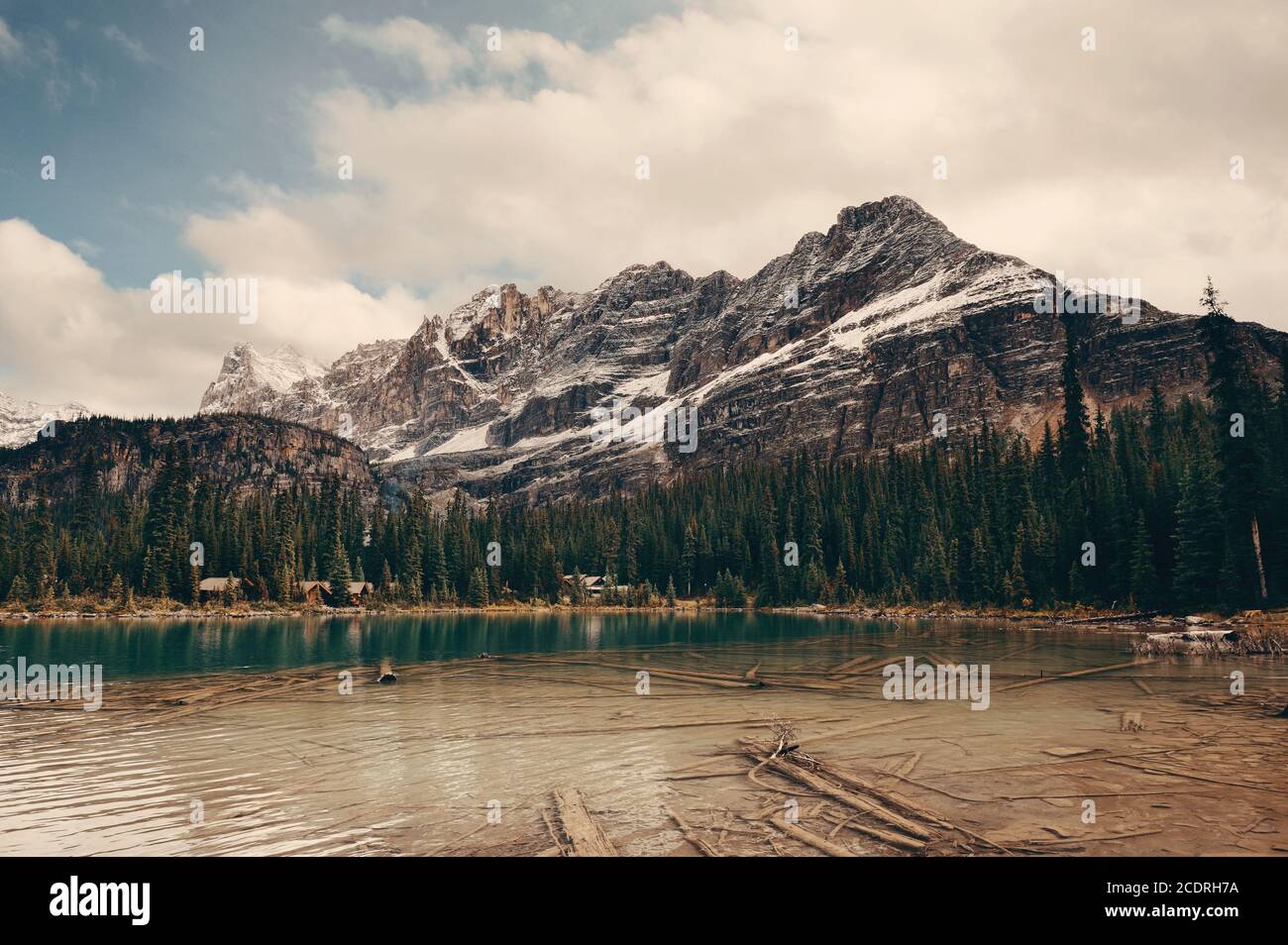 Lake O'hara, Yohu National Park, Canada Stock Photo - Alamy