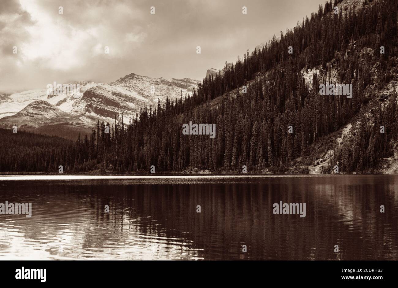 Lake O'hara, Yohu National Park, Canada Stock Photo - Alamy