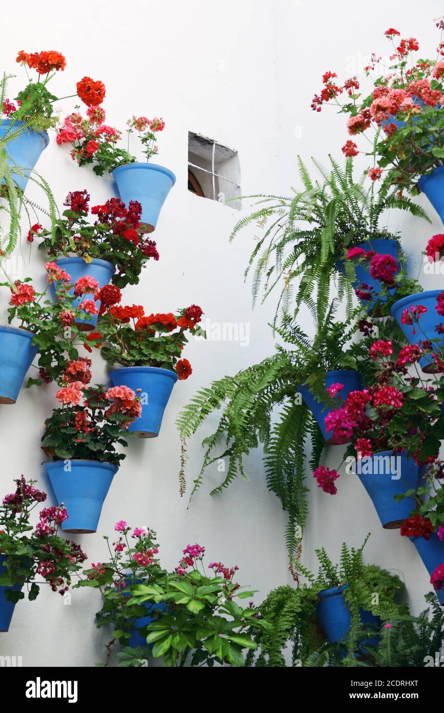 Beautiful flower decoration of the resident house in Cordoba, Spain ...