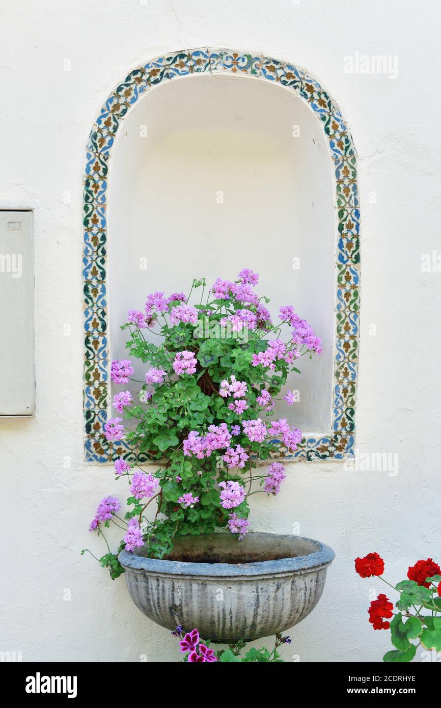 Beautiful flower decoration of the resident house in Cordoba, Spain ...