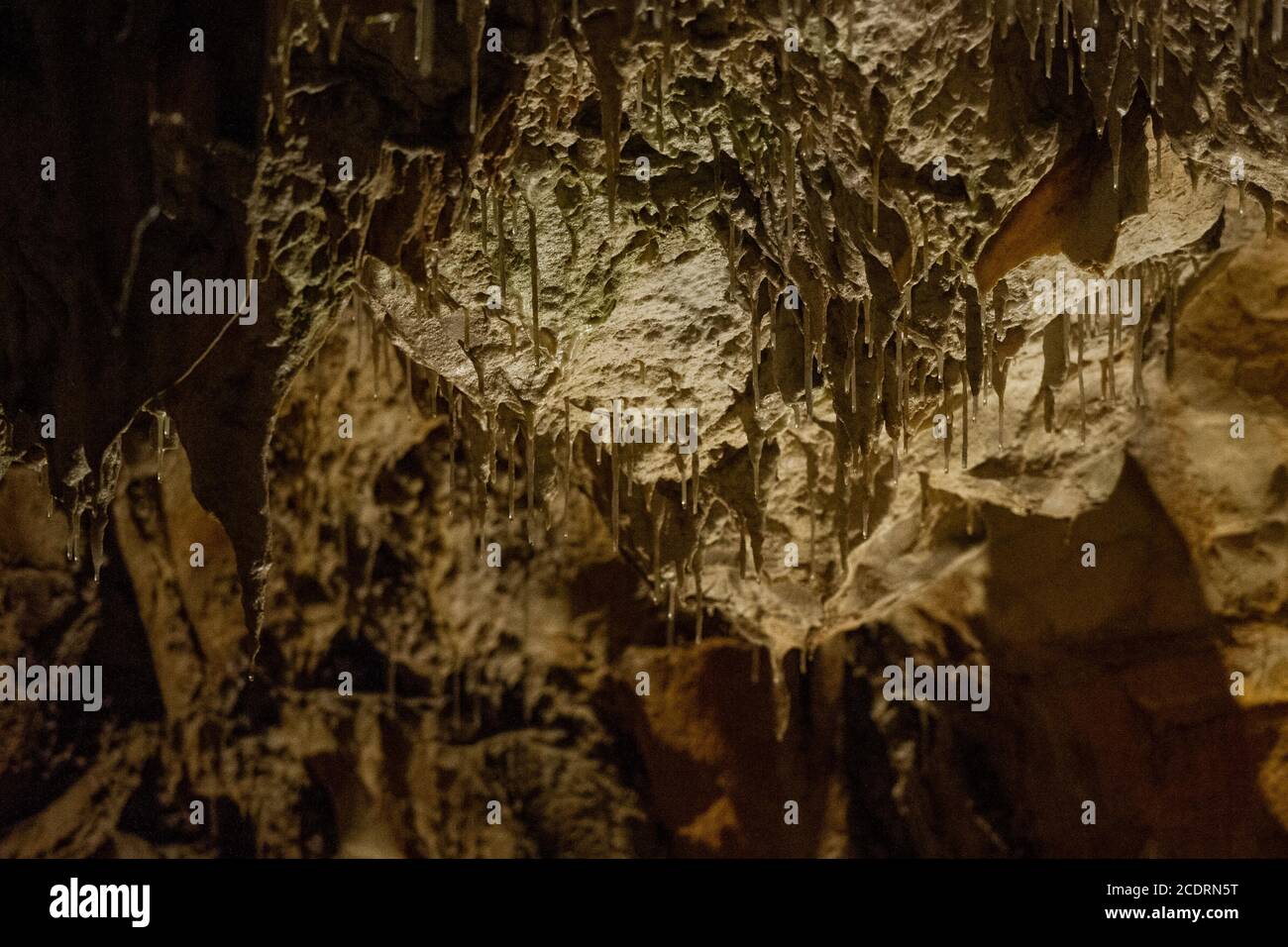 Fragile formations in a cave prepared for tourists on the island of Krk ...