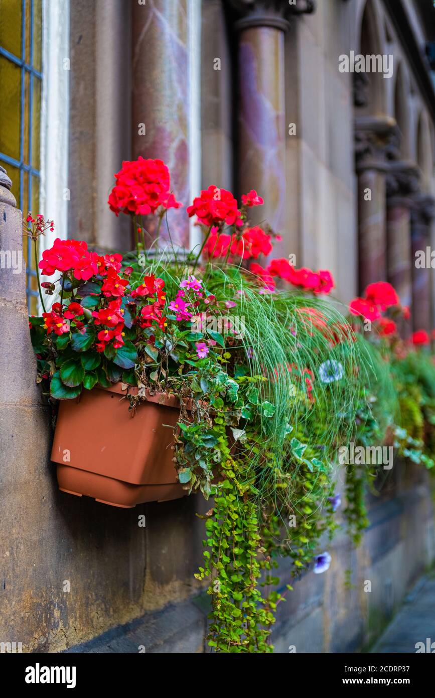 Manchester united club store hi-res stock photography and images - Alamy