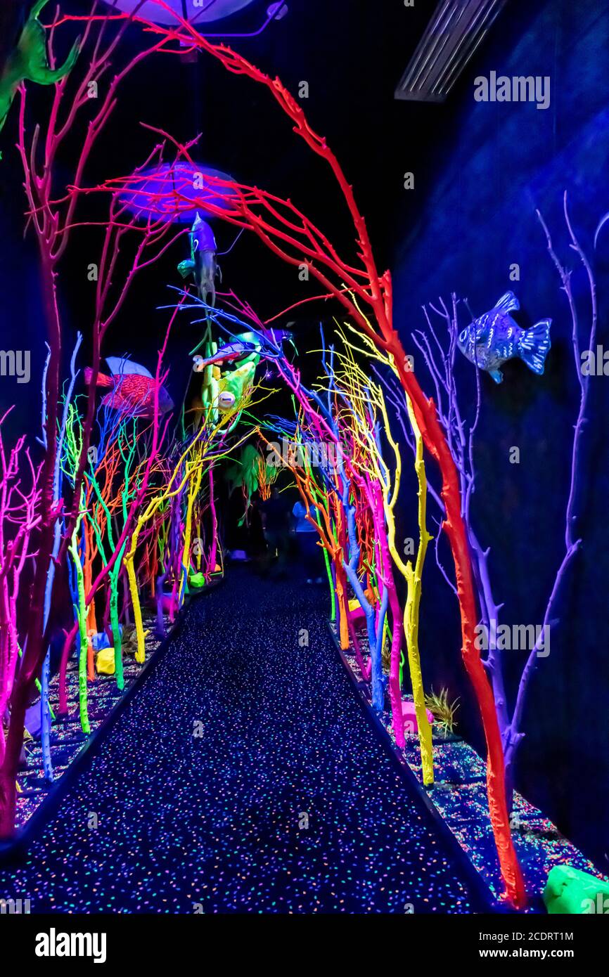 Meow wolf santa fe hi-res stock photography and images - Alamy