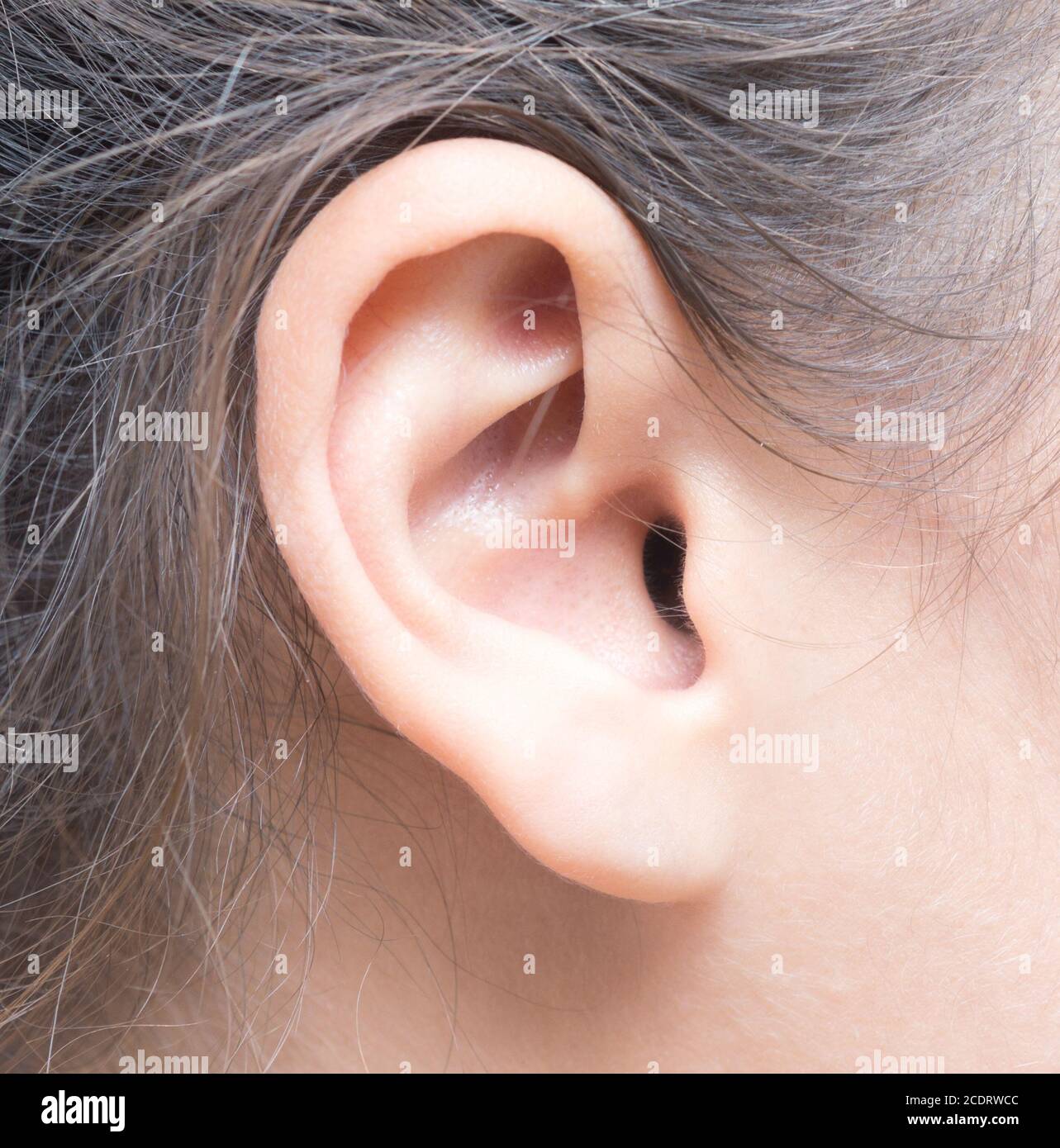 Ear part hi-res stock photography and images - Alamy