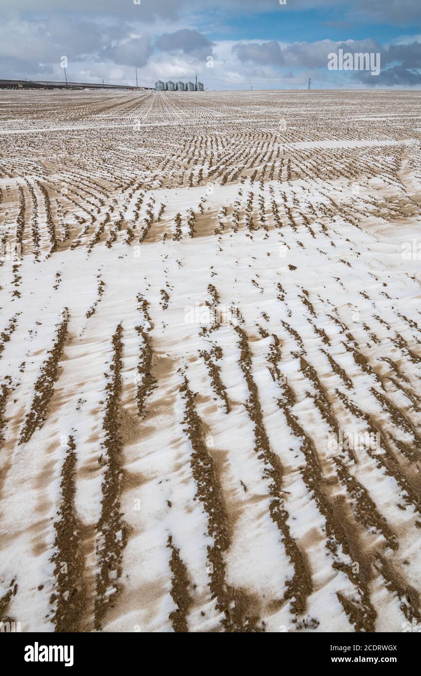 W.a. frost hi-res stock photography and images - Alamy