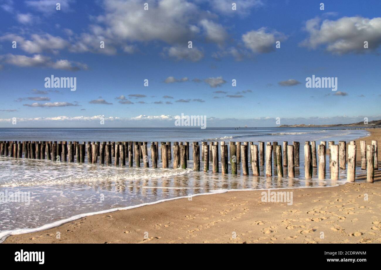 Snapshot of life on earth Stock Photo - Alamy