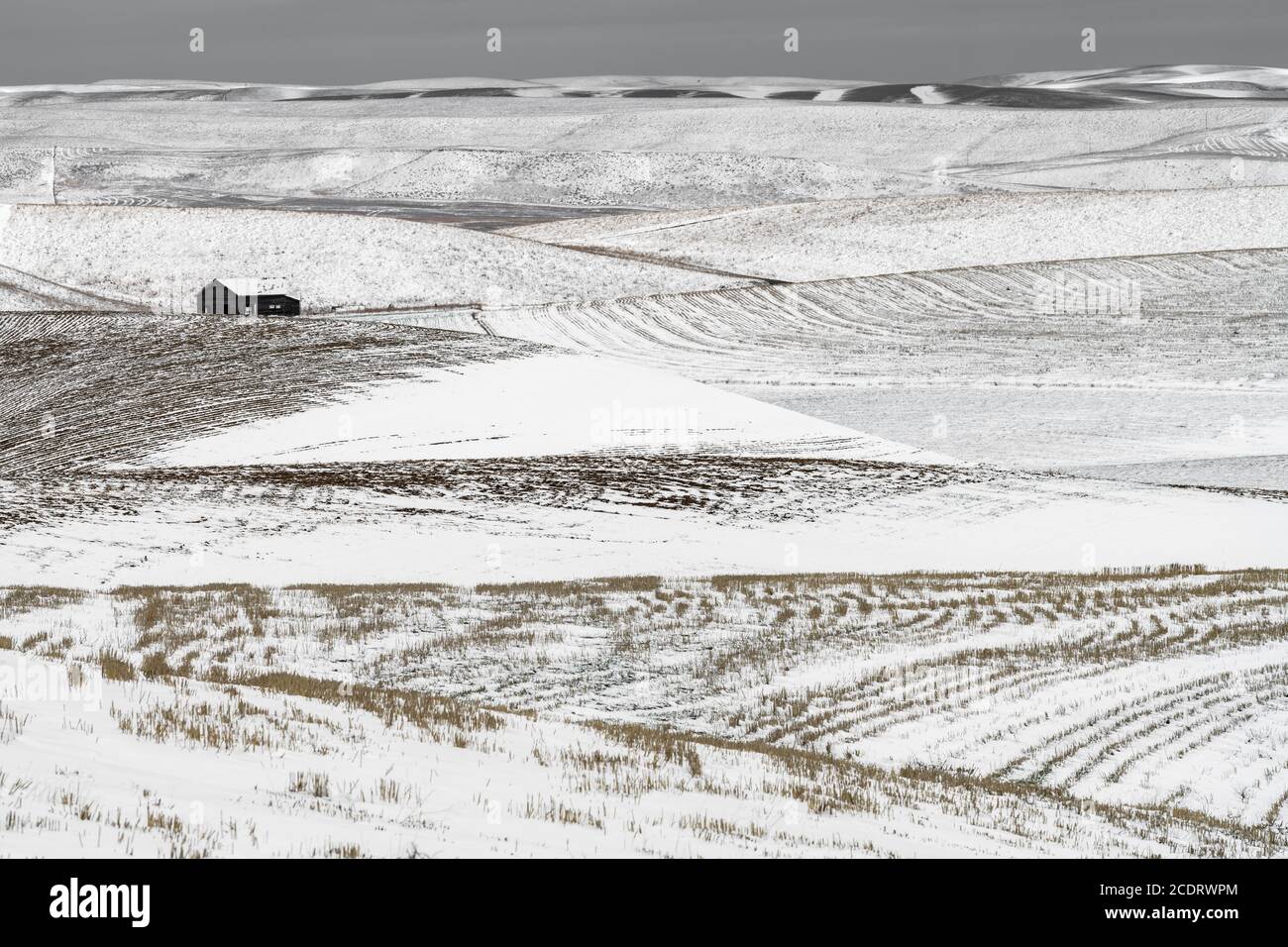 Fields in Early Spring, WA Stock Photo - Alamy