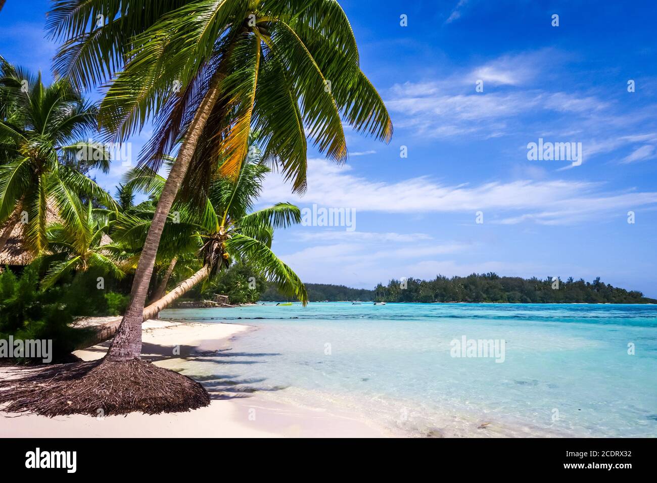 Paradise tropical beach and lagoon in Moorea Island Stock Photo - Alamy