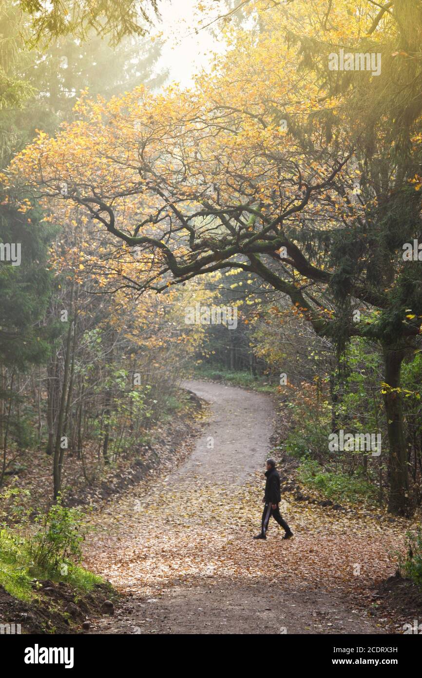 Geels hi-res stock photography and images - Alamy