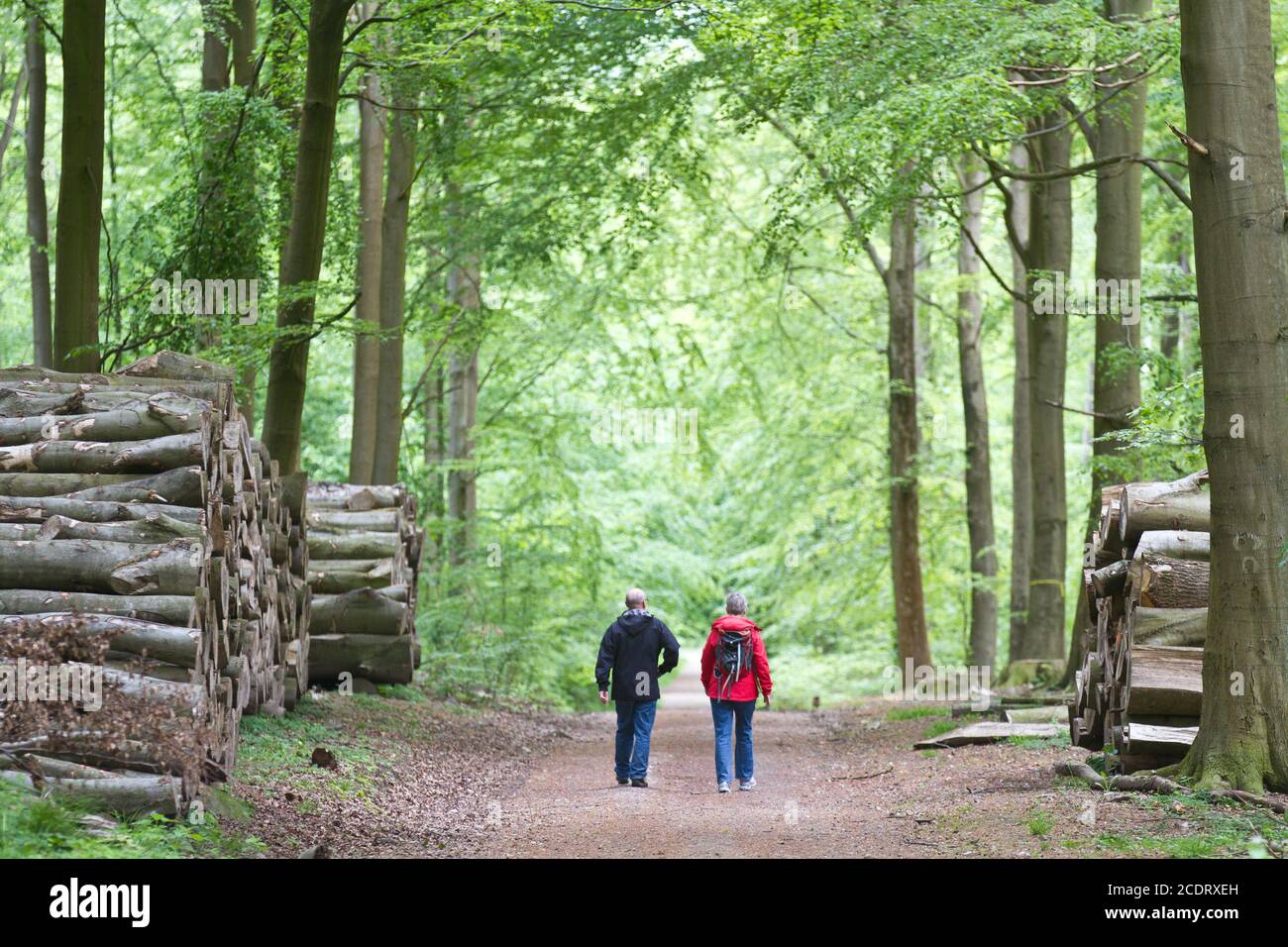 Geels hi-res stock photography and images - Alamy