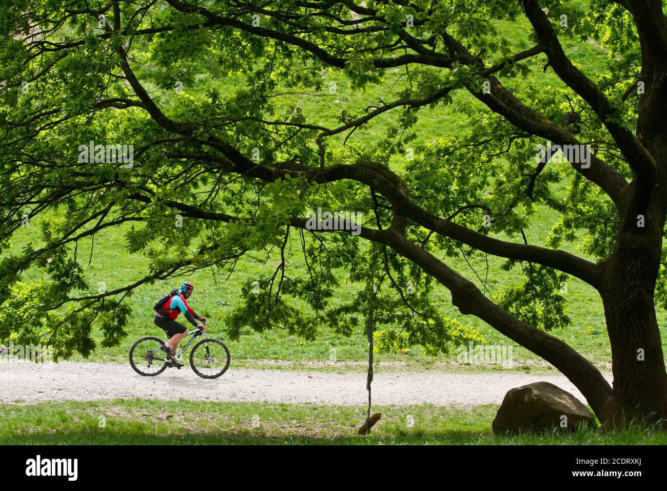 Geelskov hi-res stock photography and images - Alamy