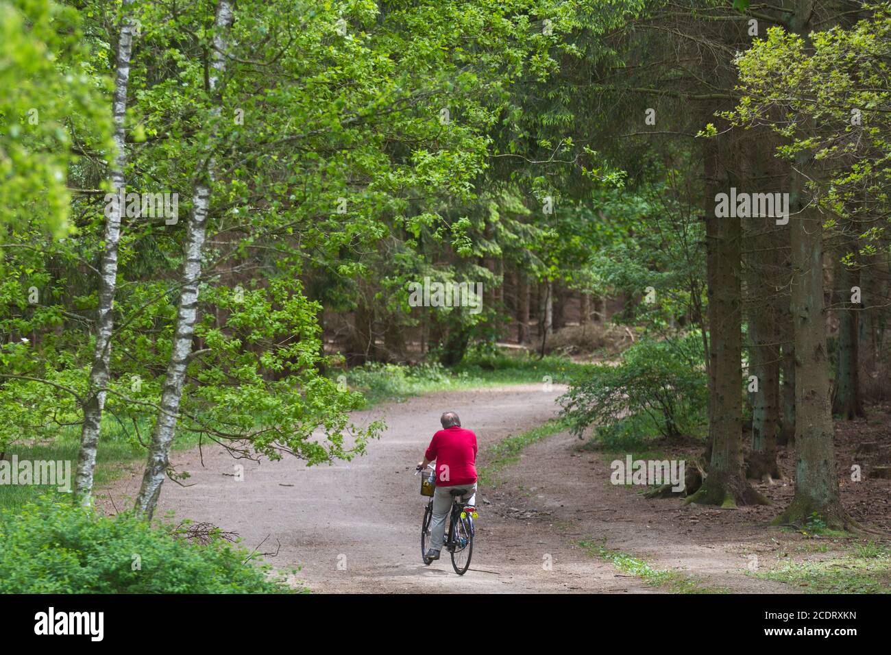 Geelskov hi-res stock photography and images - Alamy