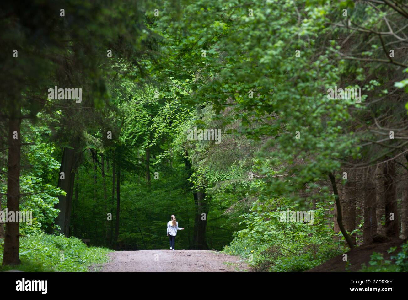 Geelskov hi-res stock photography and images - Alamy