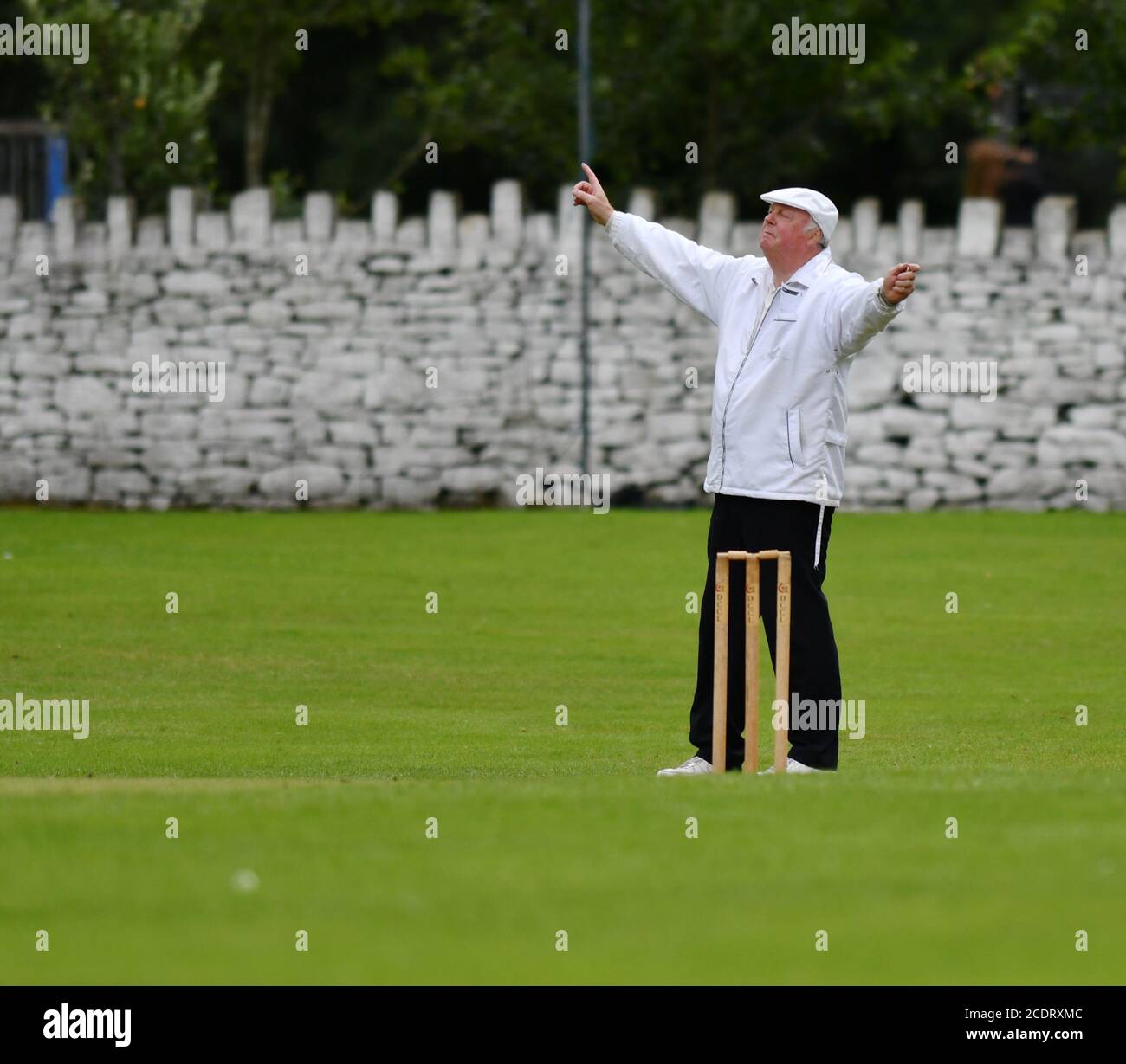 Cricket umpire signals hi-res stock photography and images - Alamy