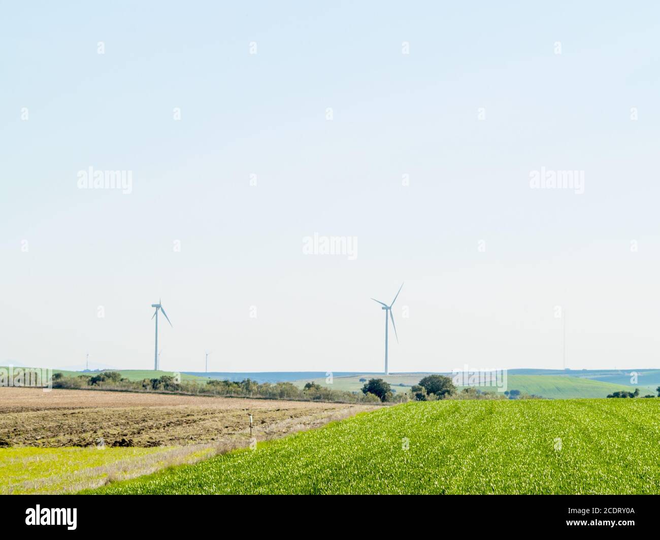 Tangled up hi-res stock photography and images - Alamy