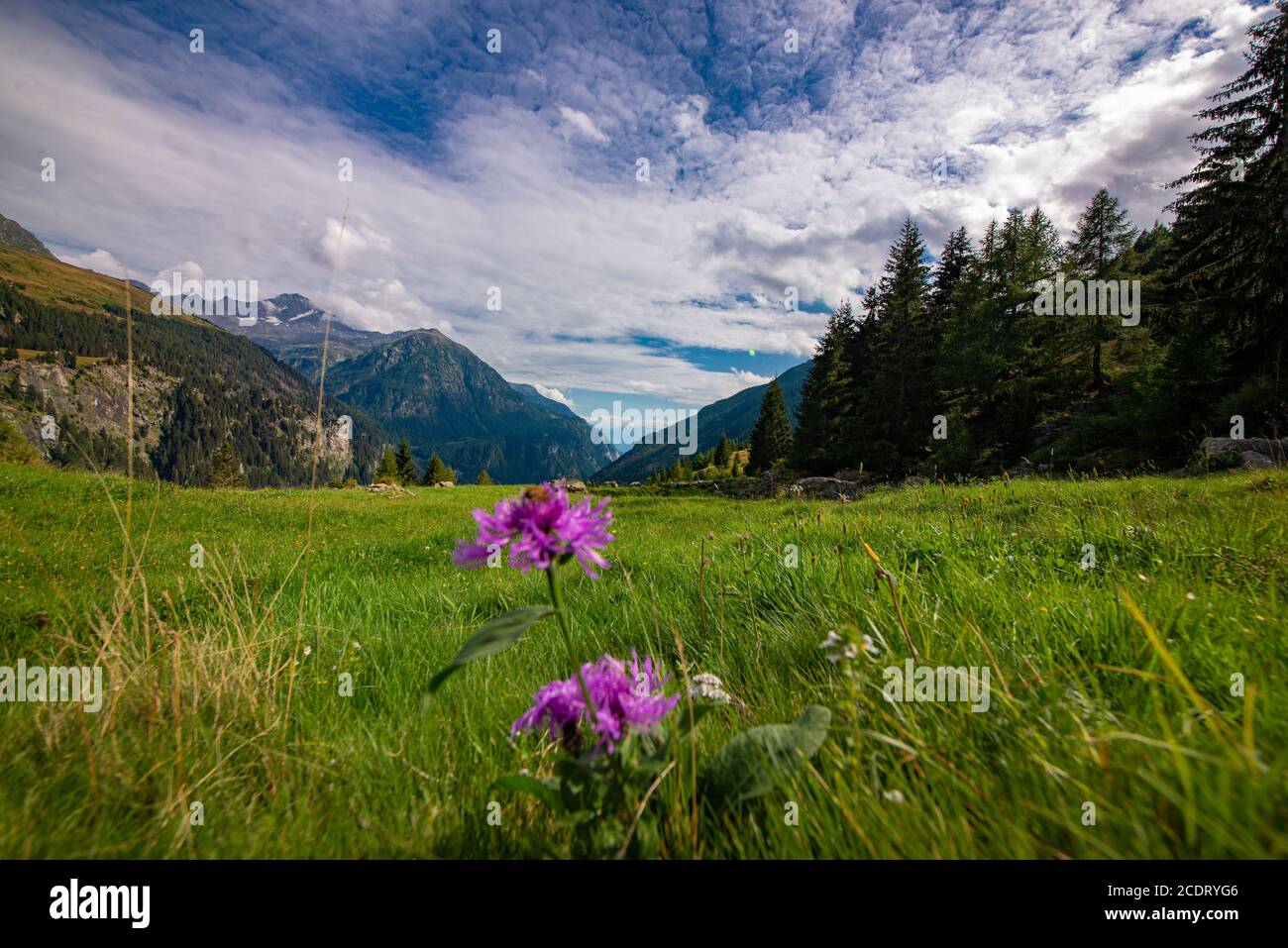 Panorama - Valle Spluga Stock Photo - Alamy