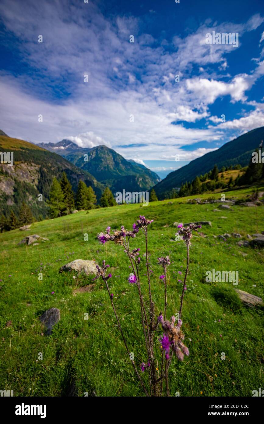 Panorama - Valle Spluga Stock Photo - Alamy