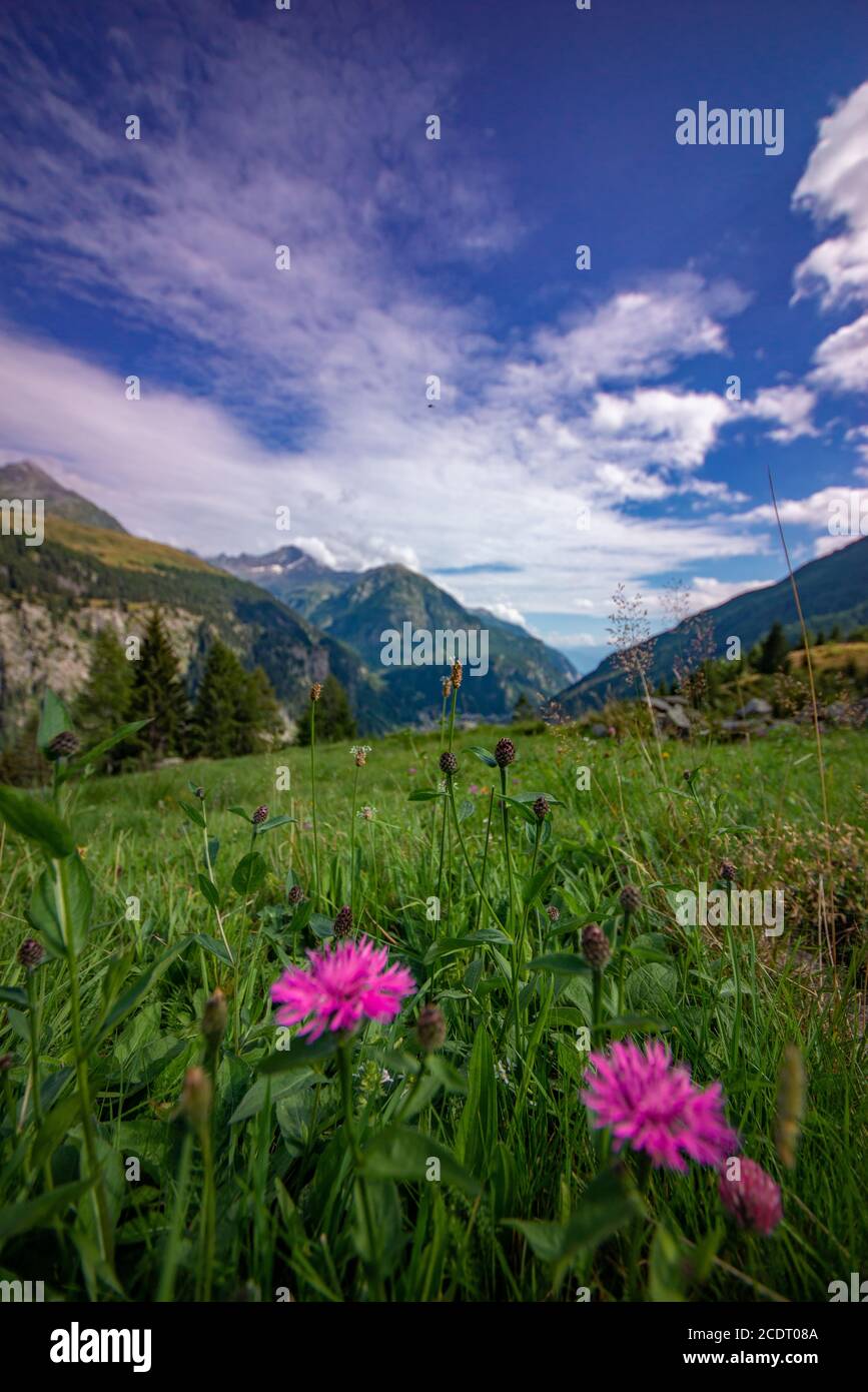 Panorama - Valle Spluga Stock Photo - Alamy