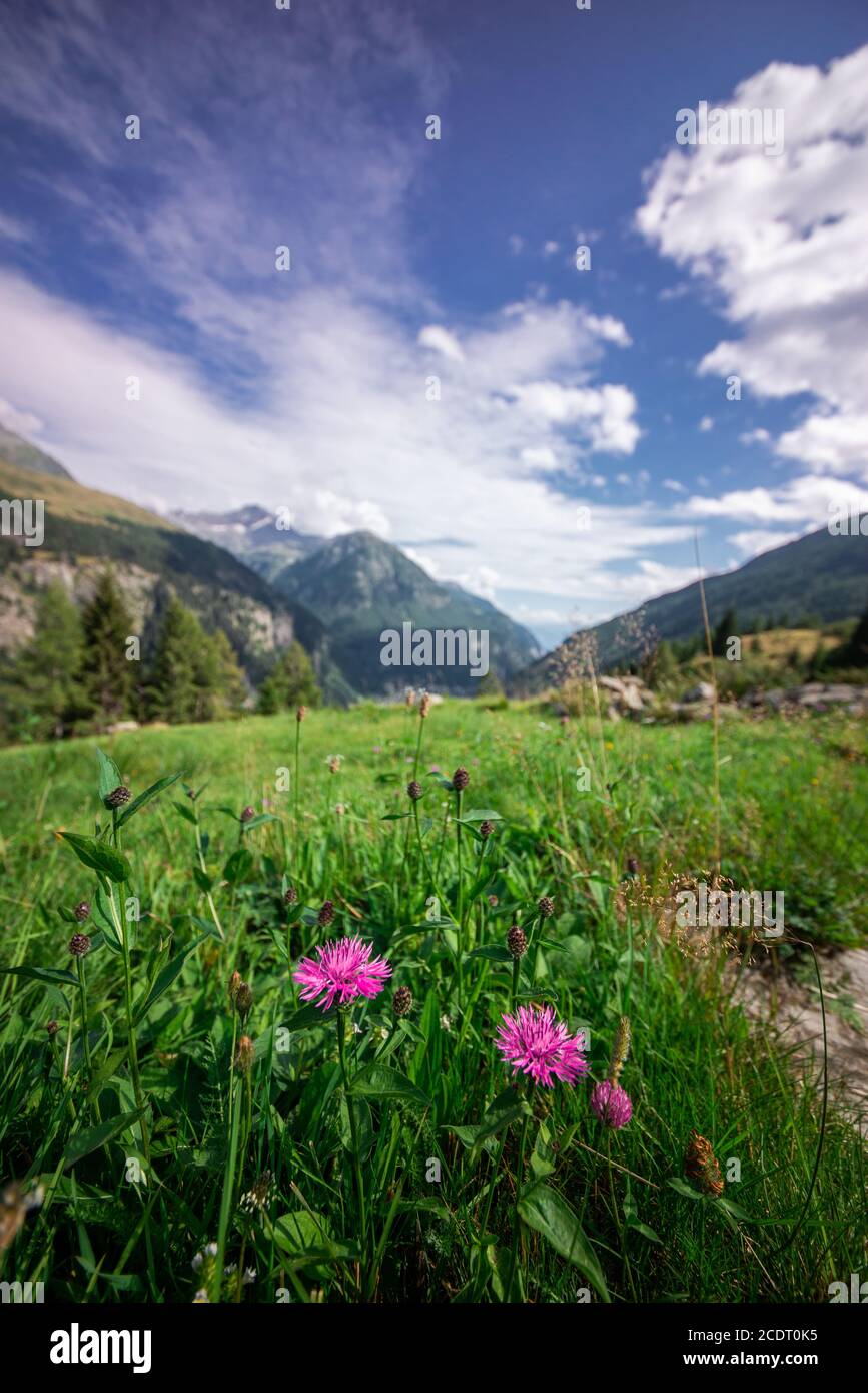 Panorama - Valle Spluga Stock Photo - Alamy