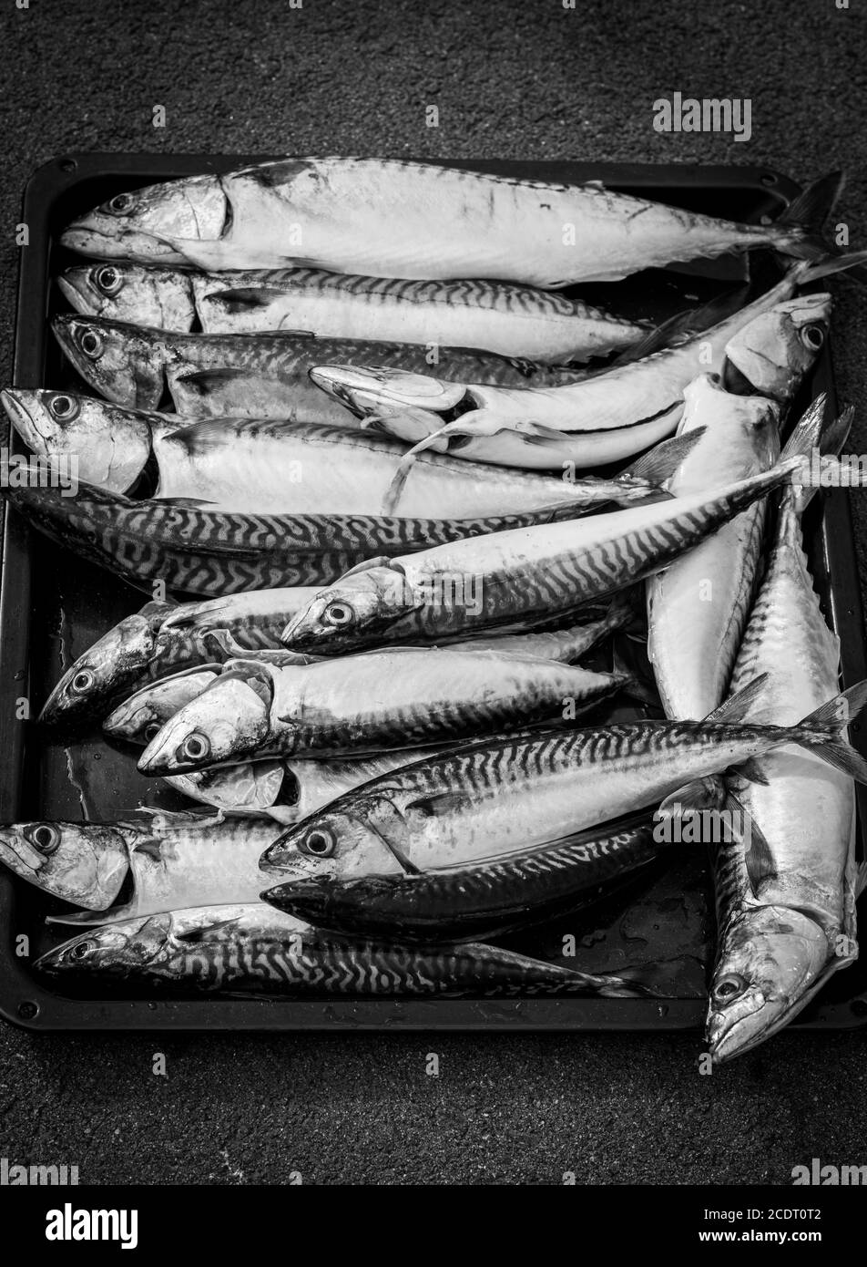 Fresh tasty meat on Black and White Stock Photos & Images - Alamy