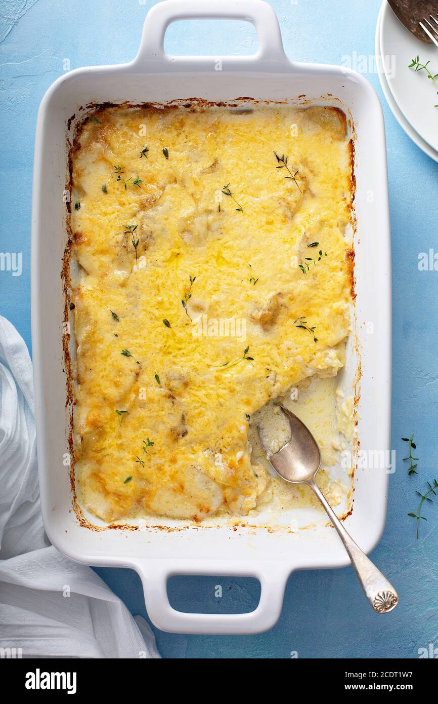 Cheese and potato gratin Stock Photo - Alamy