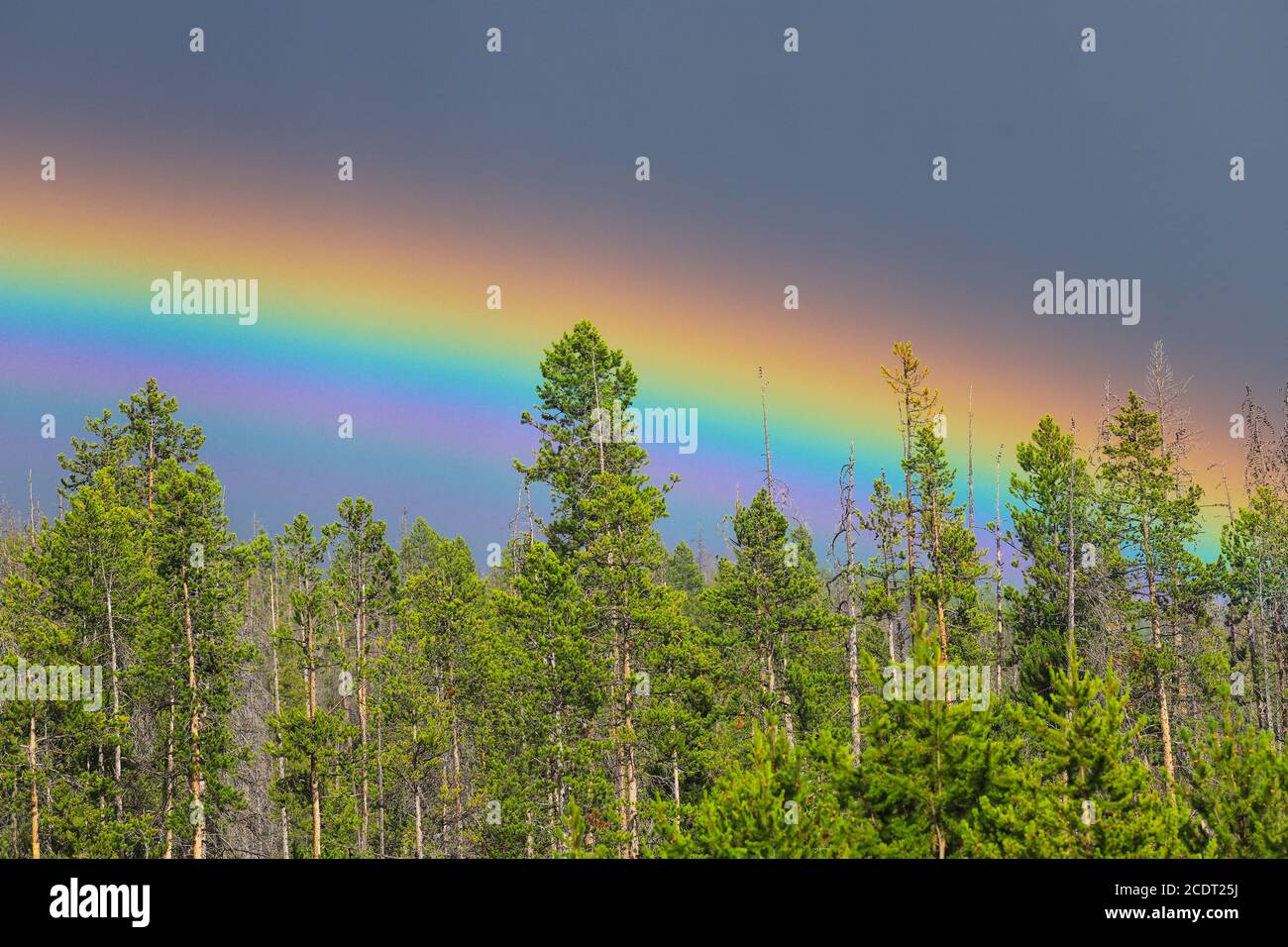 Rainbow over the forest hi-res stock photography and images - Alamy