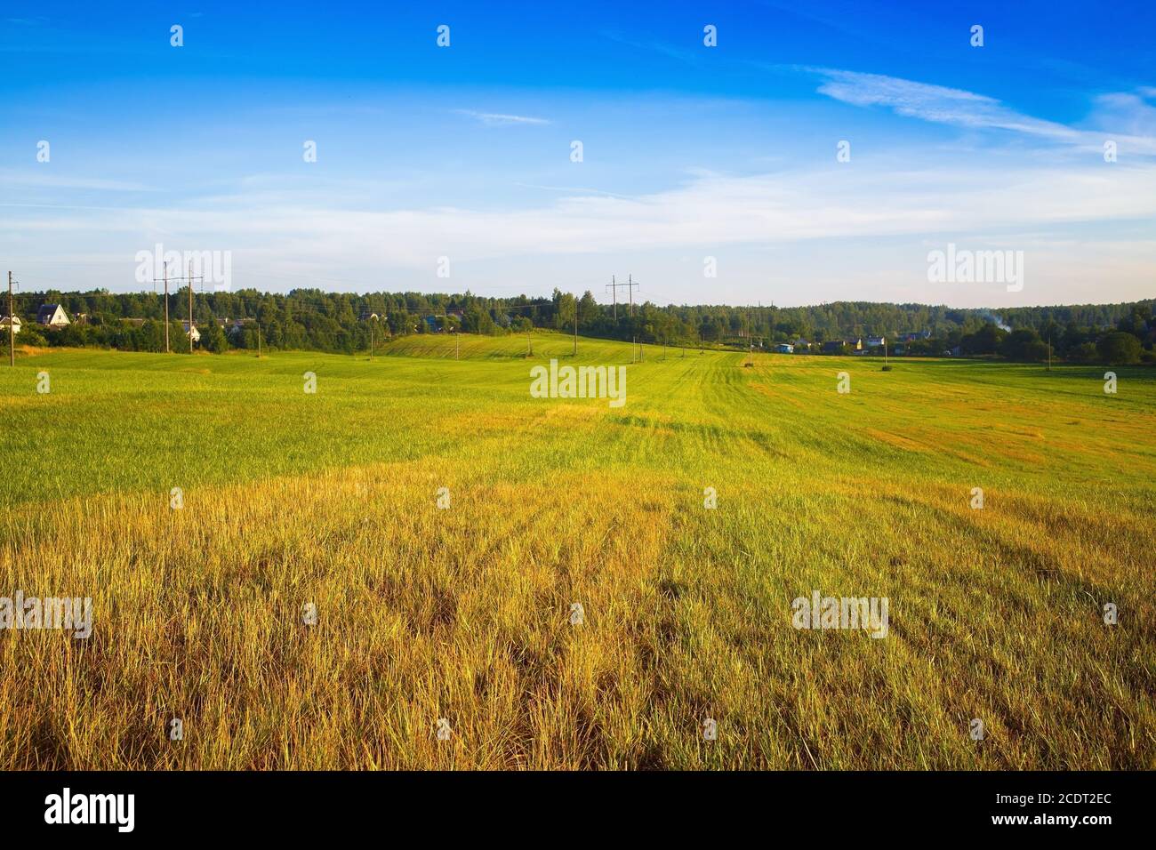 Field and sky Stock Photo - Alamy