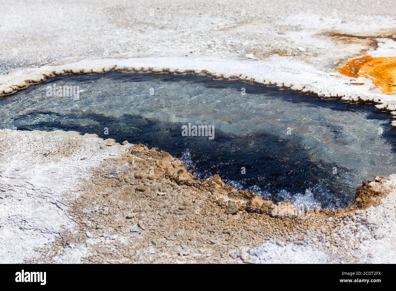 Underground bacteria hi-res stock photography and images - Alamy