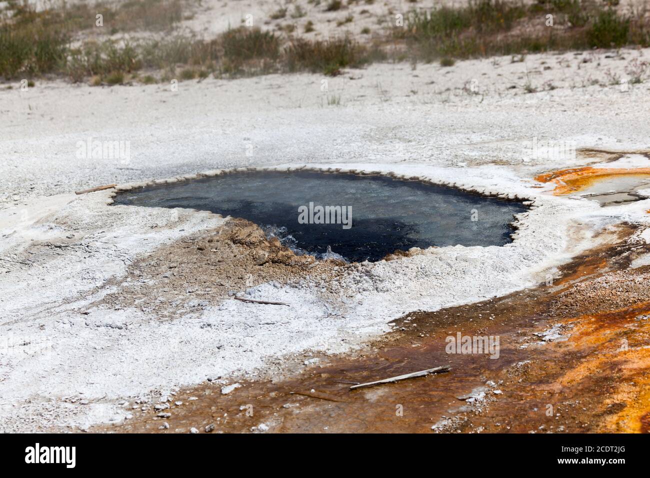 Ear spring pool hi-res stock photography and images - Alamy