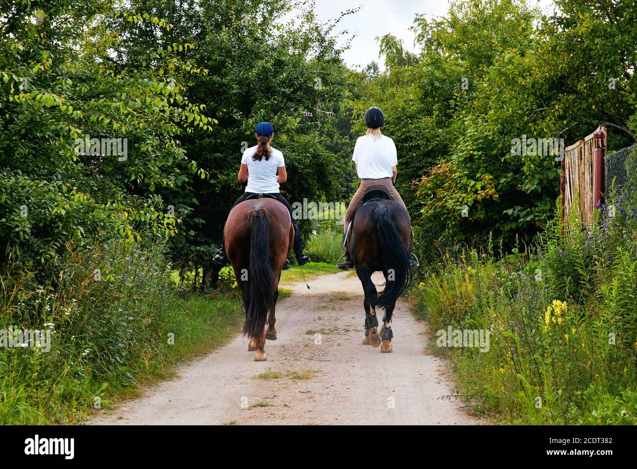 Girl riding horse on trail hi-res stock photography and images - Alamy