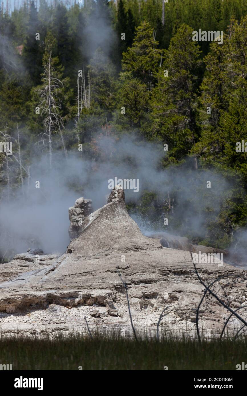 The bacterial and mineral formation of Giant Geyser with steam rising ...