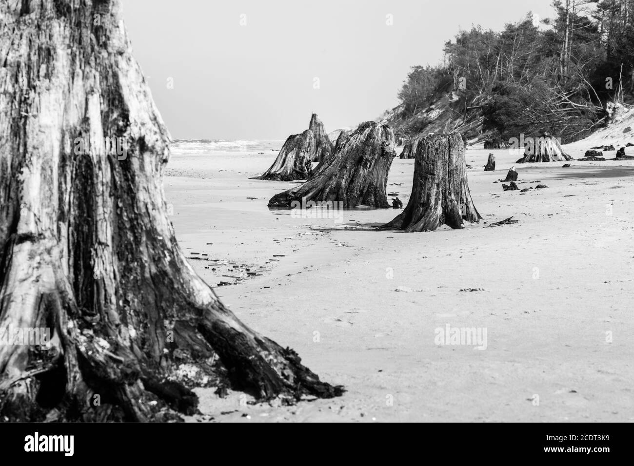 3000 years hi-res stock photography and images - Alamy