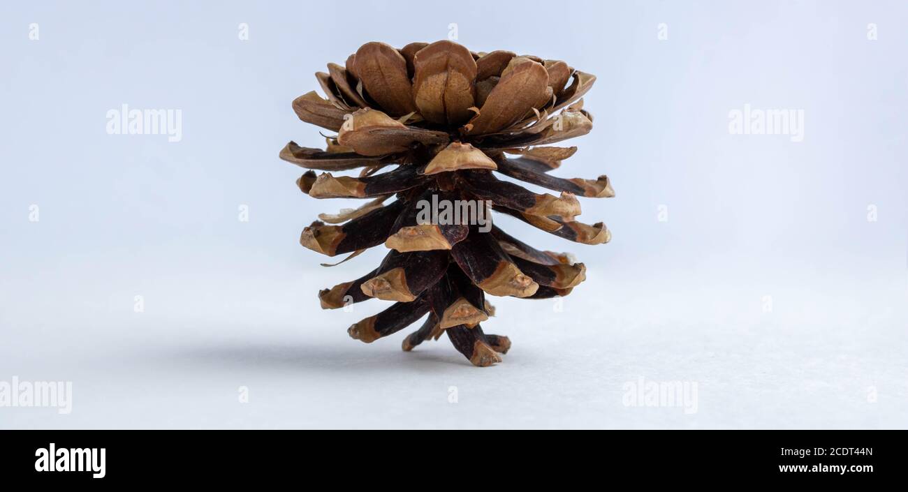 Inverted cone hi-res stock photography and images - Alamy