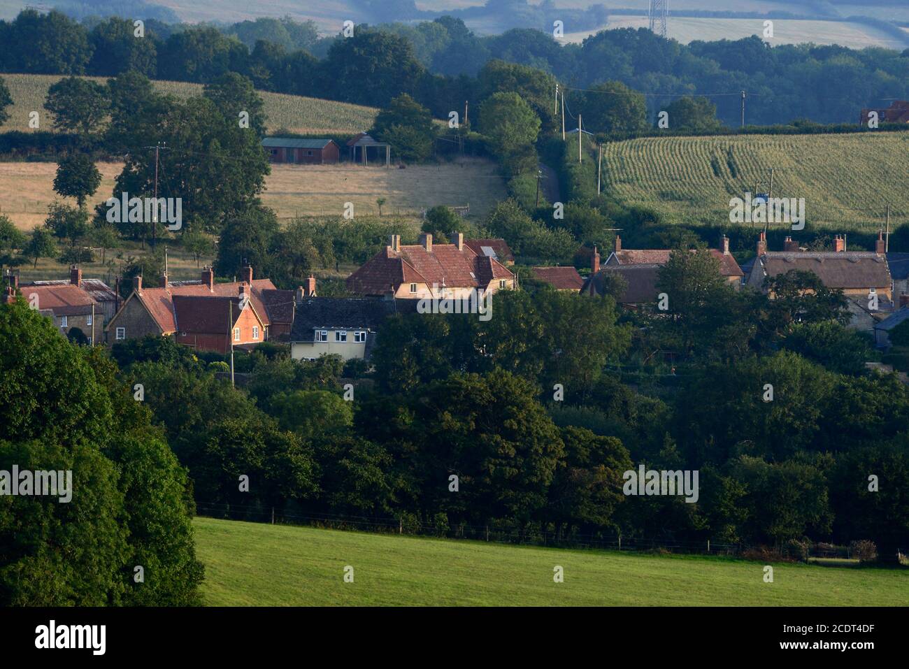Nettlecombe dorset hi-res stock photography and images - Alamy